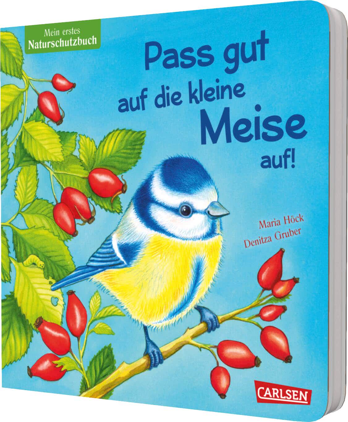 Pass gut auf die kleine Meise auf