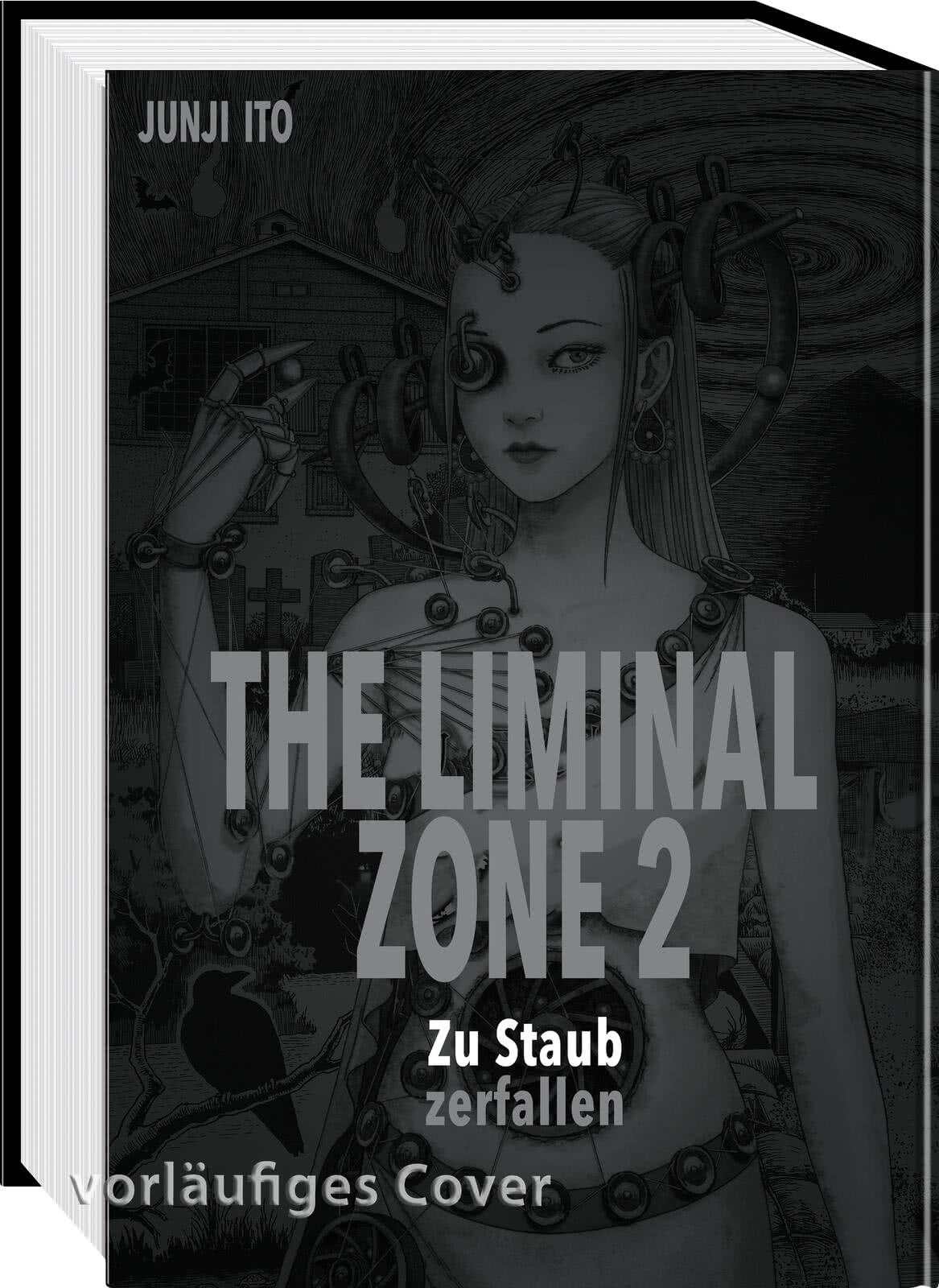 The Liminal Zone 2